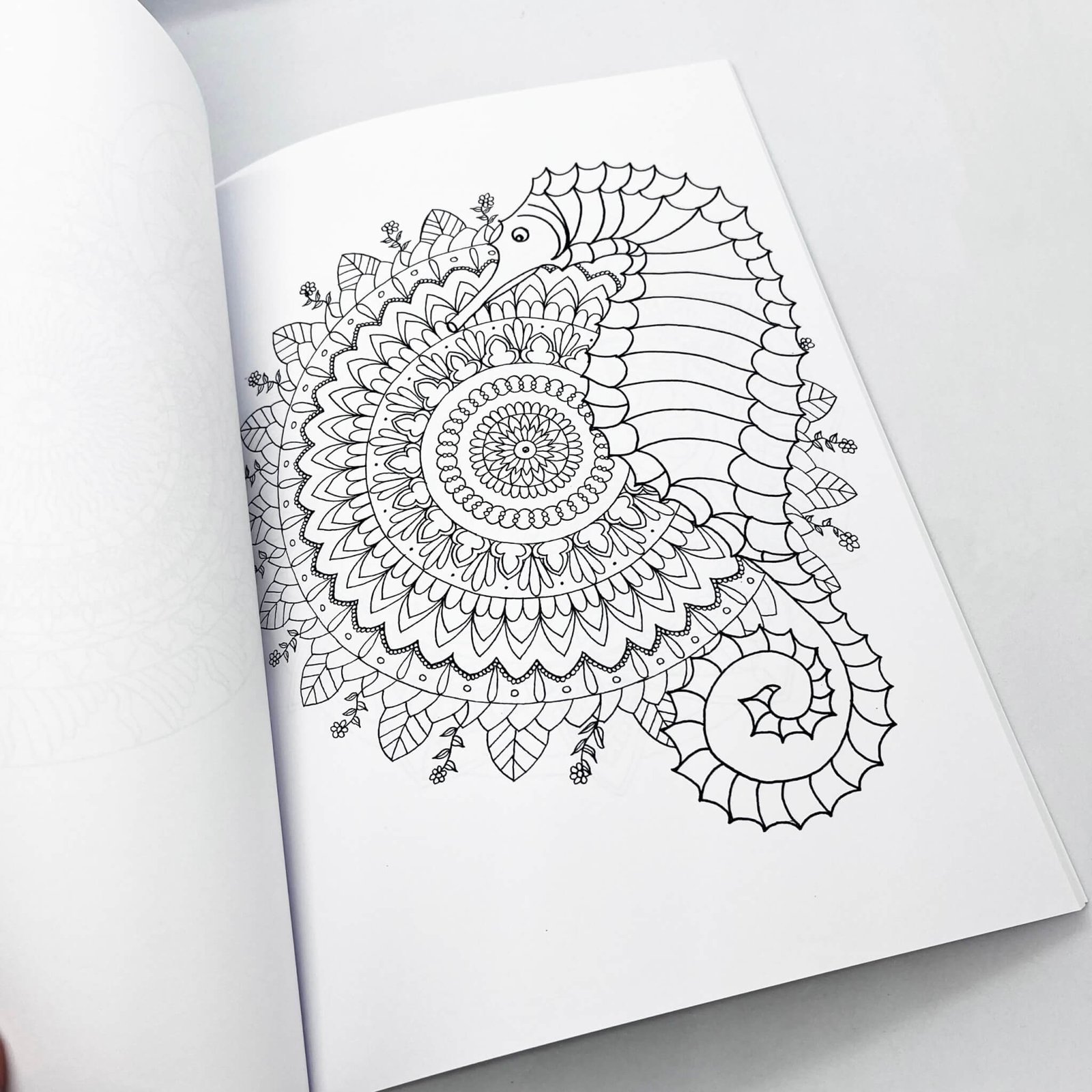 A Unique and Vibrant Summer Mandala Coloring Book